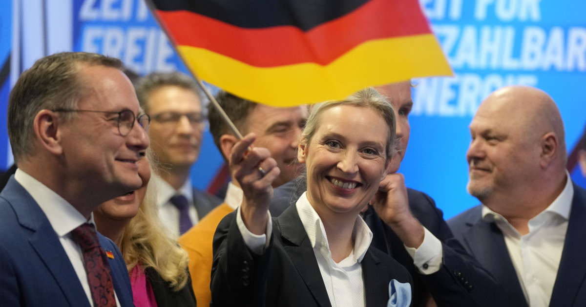 Príde k definitívnemu zákazu AfD? | Hlavný Denník