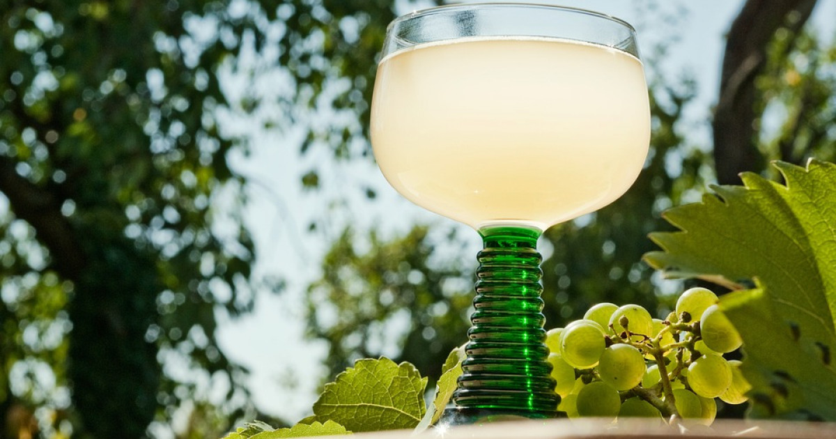 Burčiak má priaznivé účinky, denná dávka by však nemala prekročiť 3 dcl ...