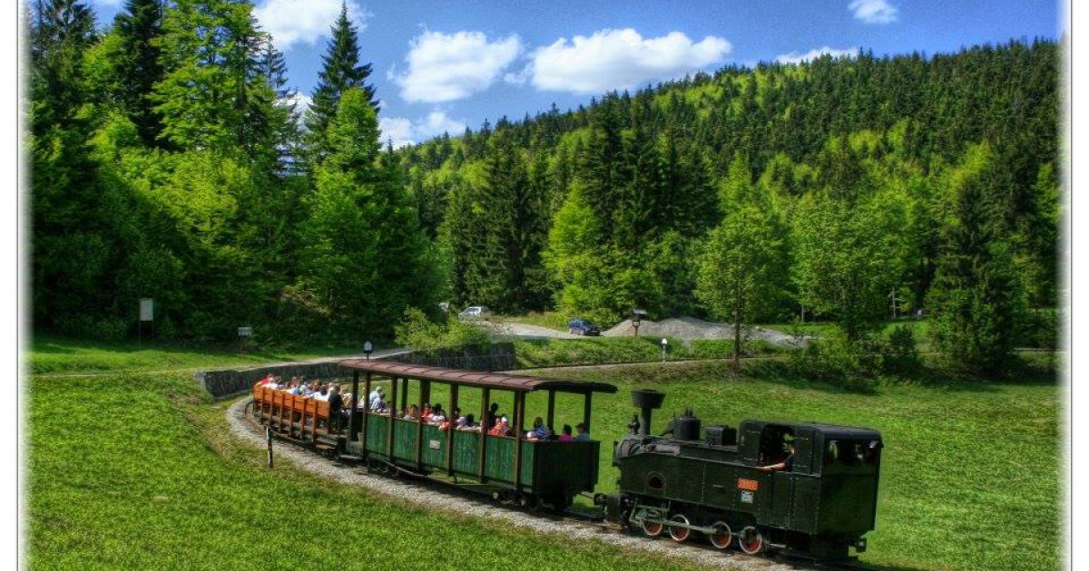 Oravská lesná železnica nepremáva, dôvodom je plánovaná oprava trate ...