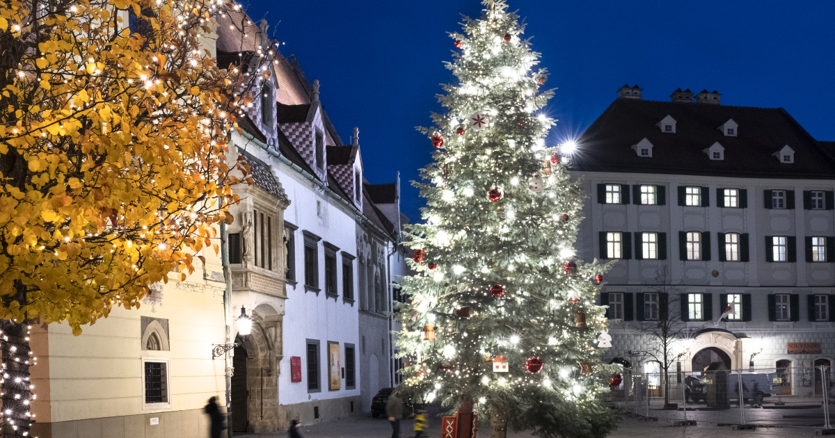 Na bratislavské Hlavné námestie privezú vianočný stromček | Hlavný Denník