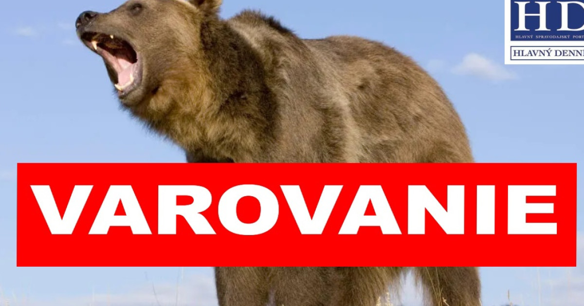POZOR, medveď na Kysuciach! Obyvatelia neverili vlastným očiam | Hlavný ...
